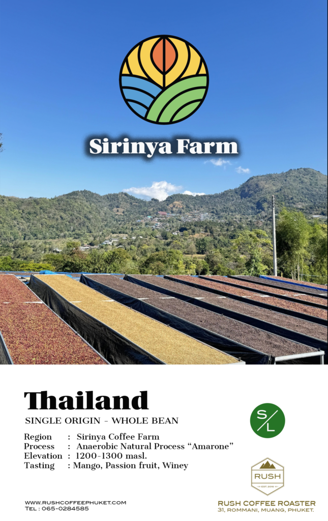 Thailand Sirinya Amarone – Rush Coffee Rommani